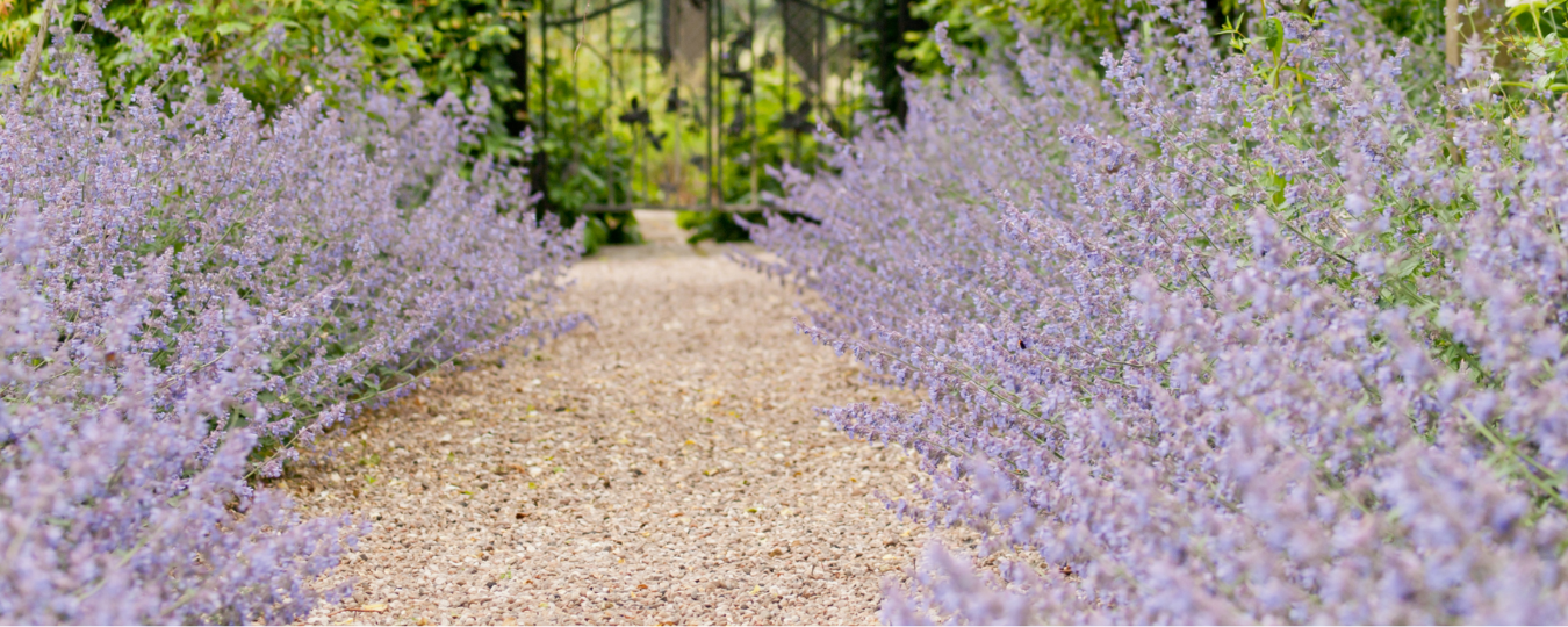 Decorative Stones for Gardens - All you need to Know