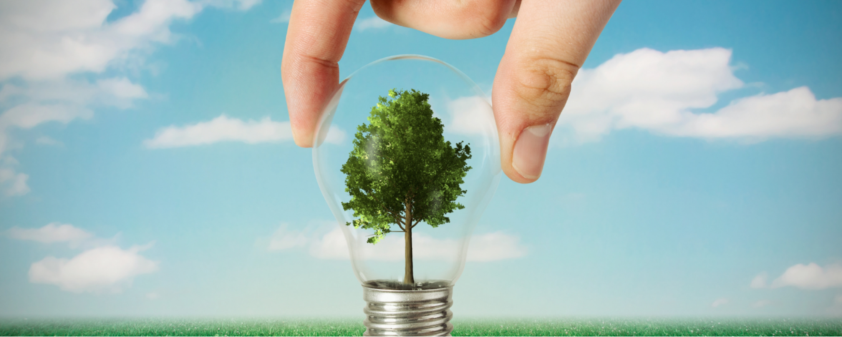 Make Your Lighting More Energy Efficient